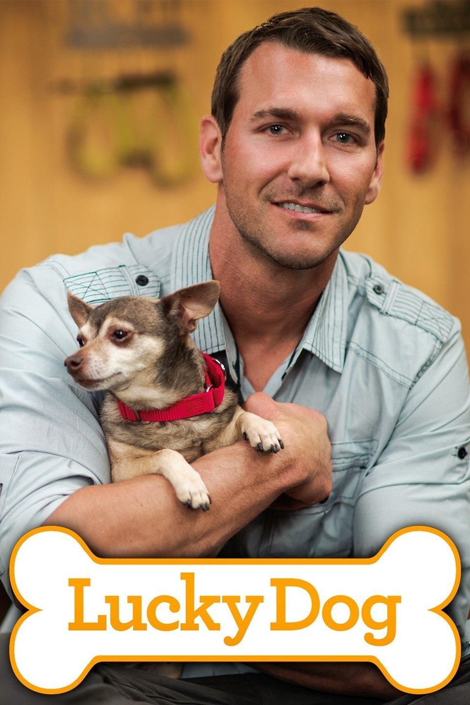 Lucky Dog - Rotten Tomatoes