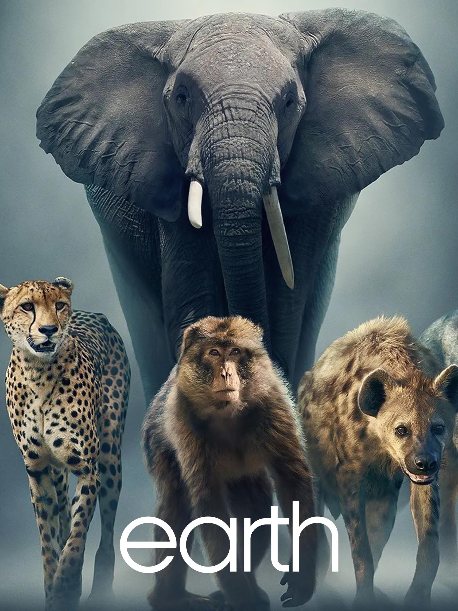 BBC Earth - Rotten Tomatoes