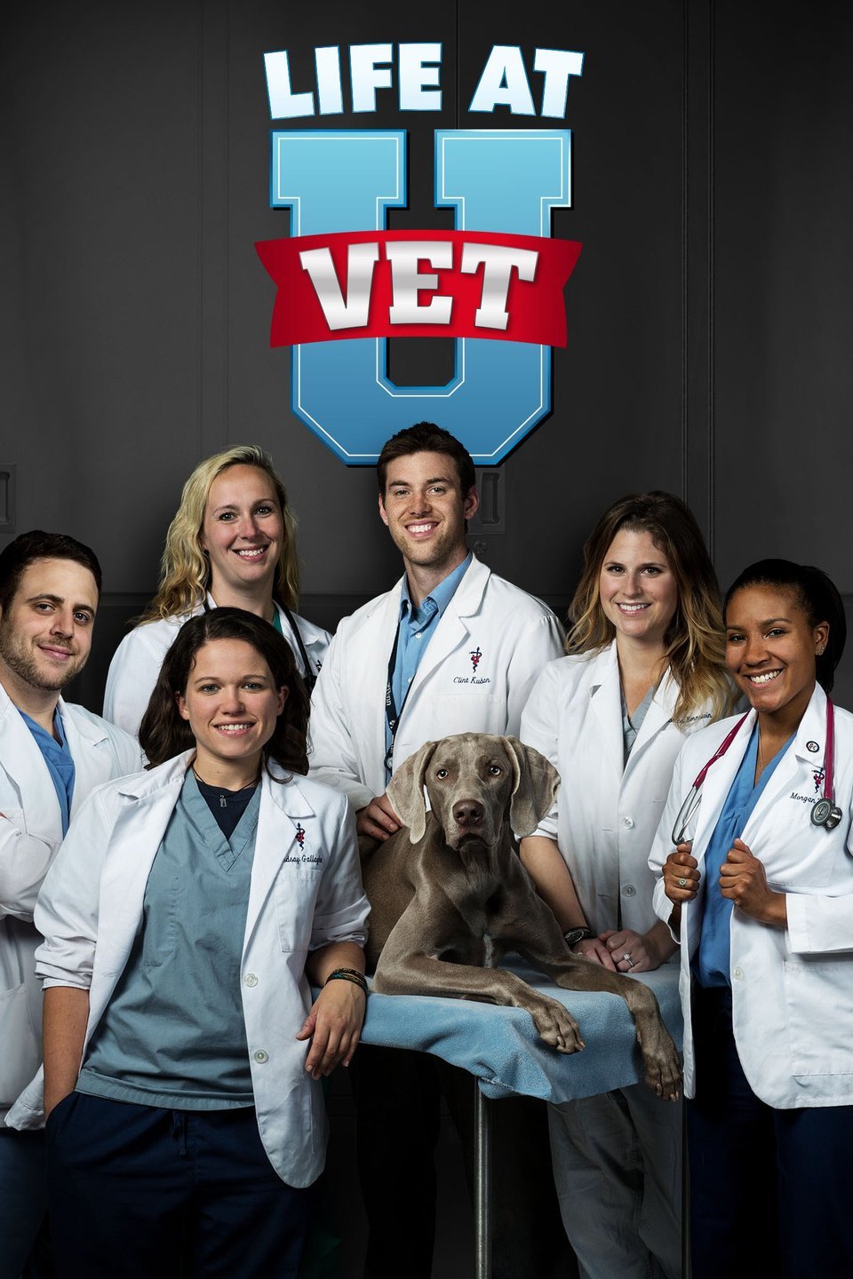 Life at Vet U - Rotten Tomatoes