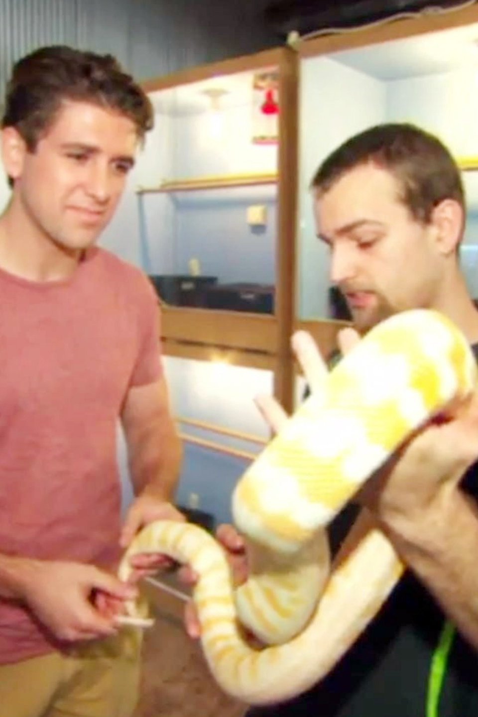 Slippery and Scaley Pictures - Rotten Tomatoes