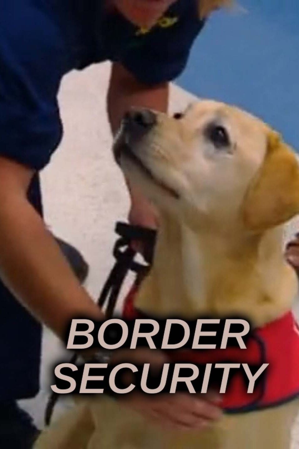 Border Security - Rotten Tomatoes