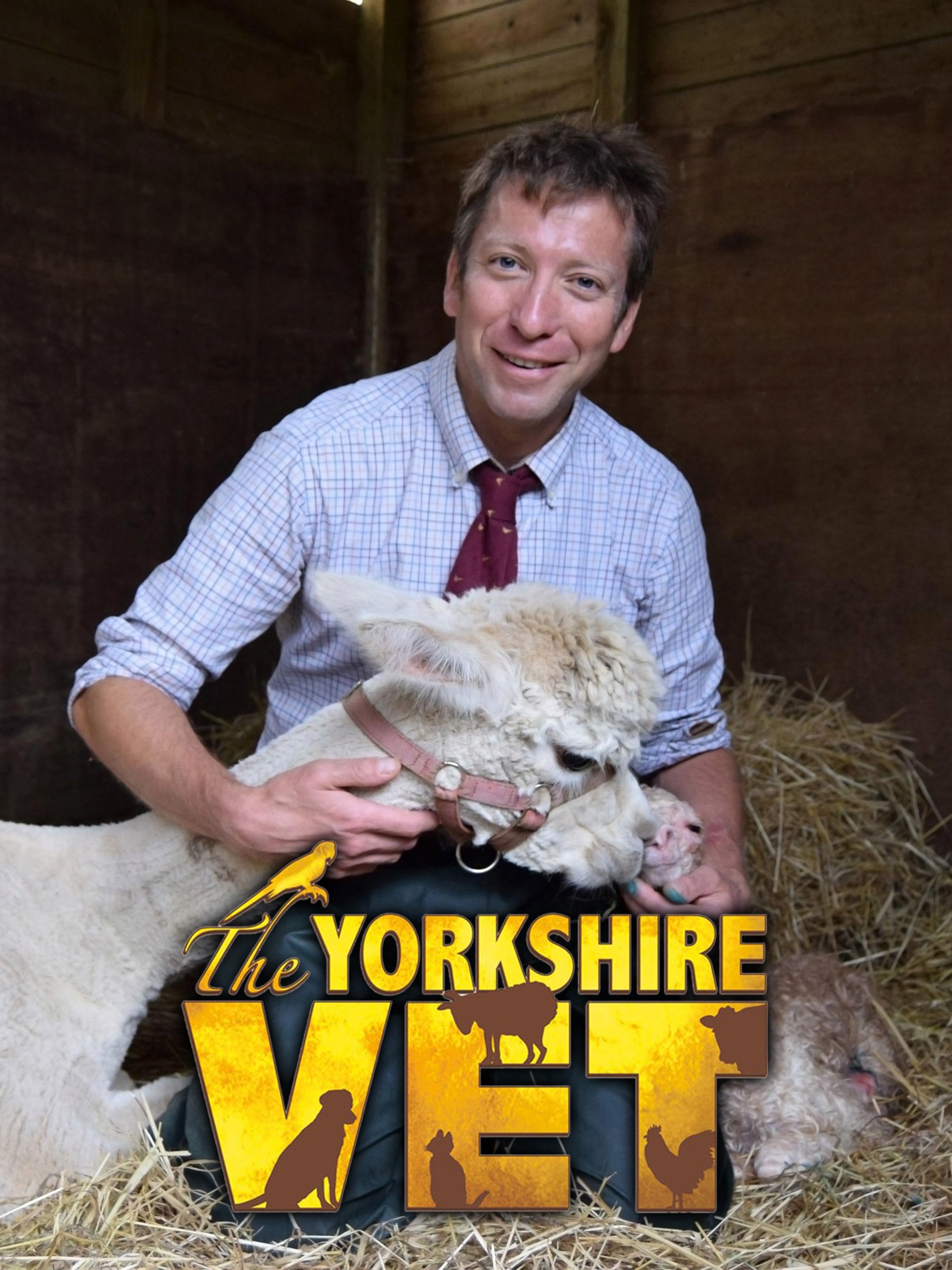 The Yorkshire Vet - Rotten Tomatoes