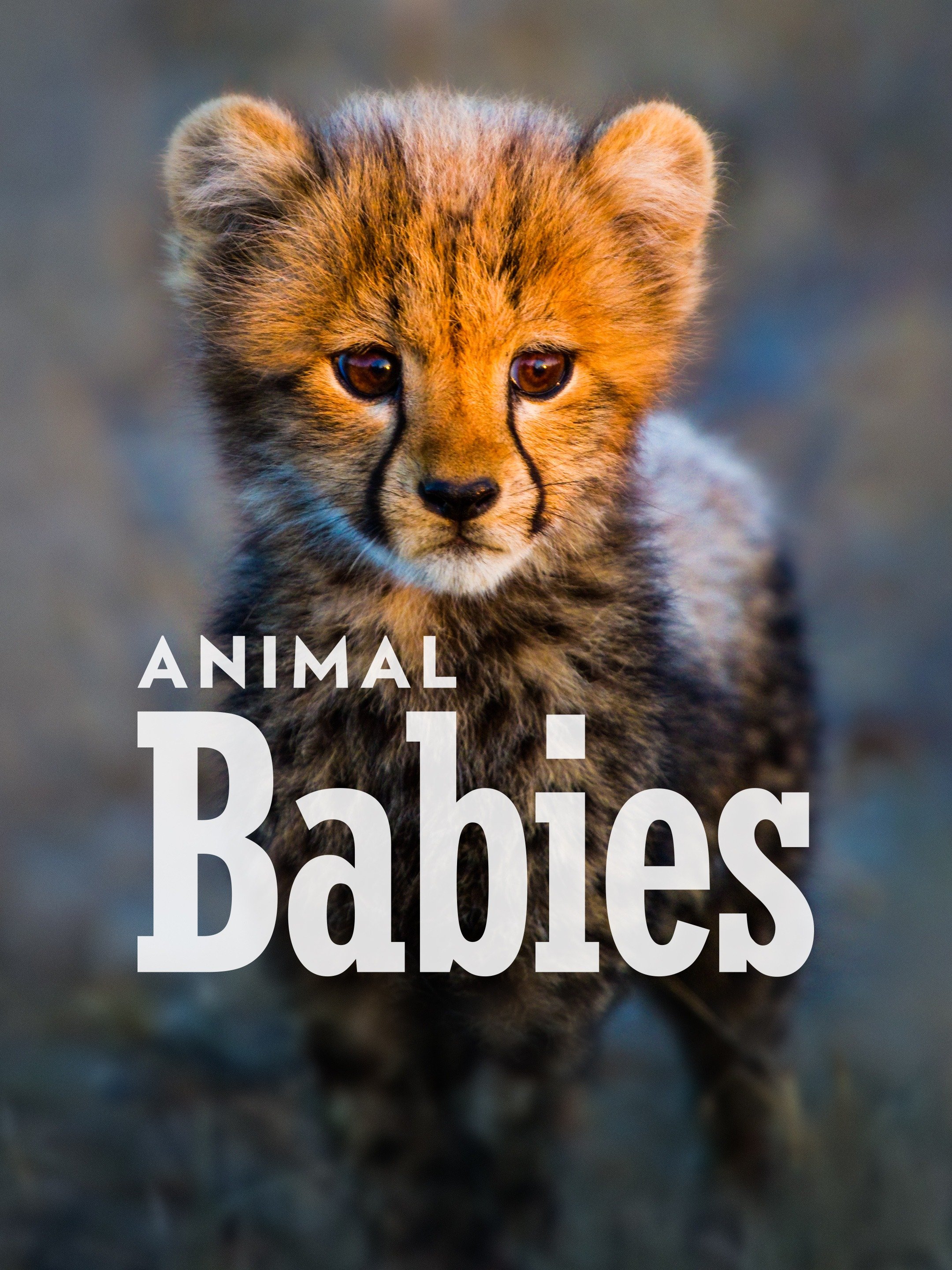 Animal Babies - Rotten Tomatoes