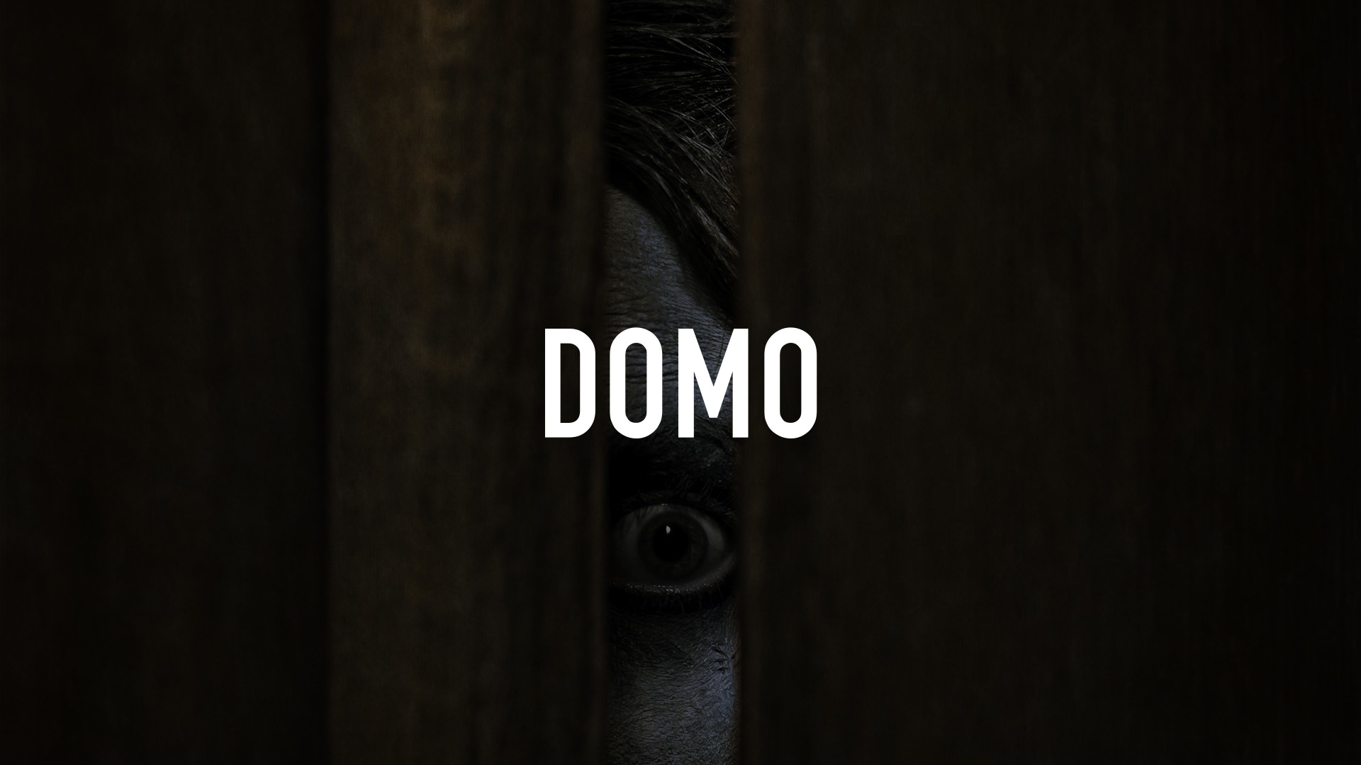 Domo Tv Show