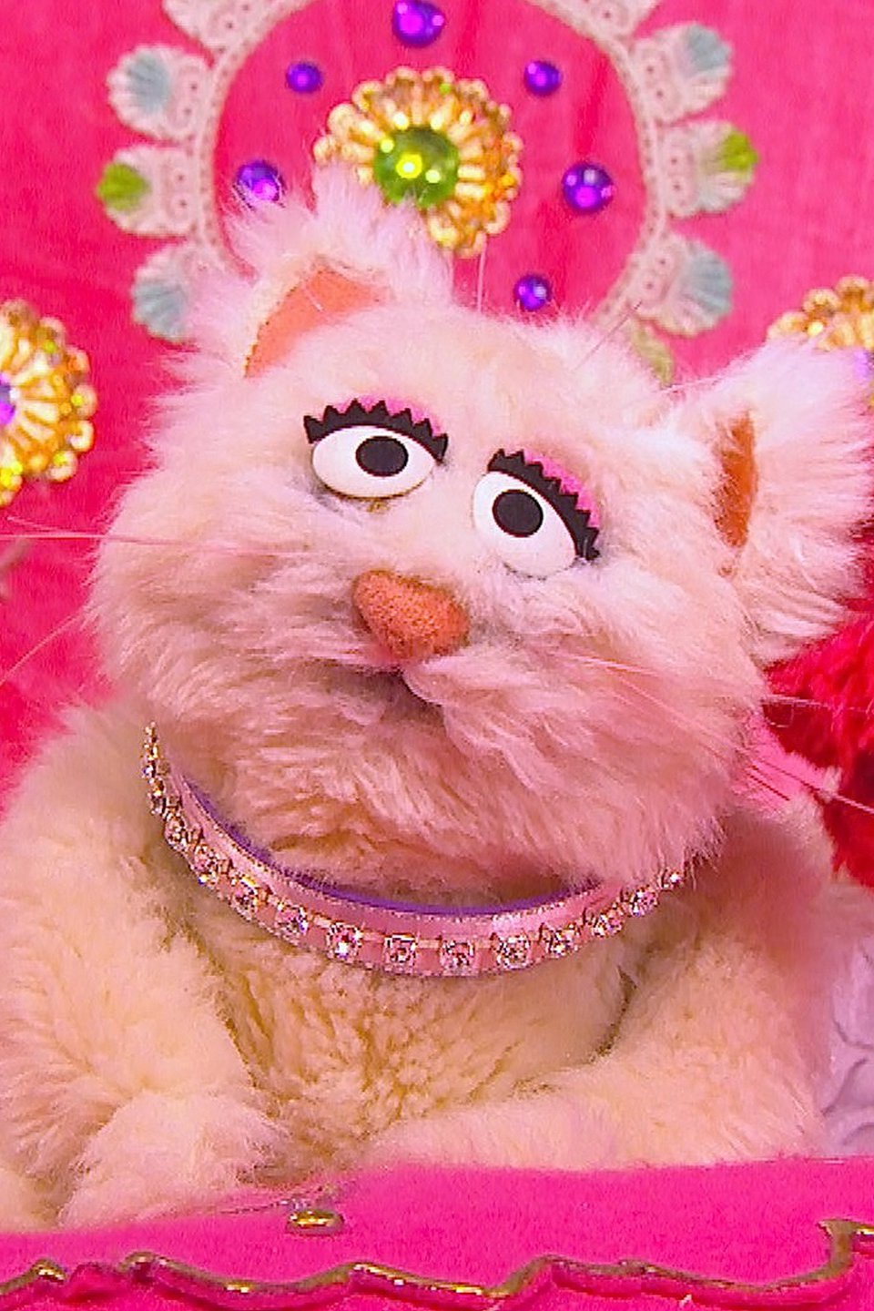 A Very Precious Cat Pictures - Rotten Tomatoes