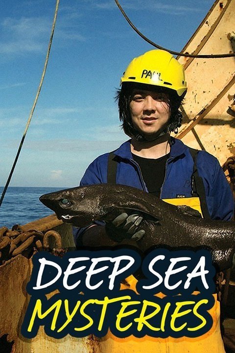 Deep Sea Mysteries - Rotten Tomatoes