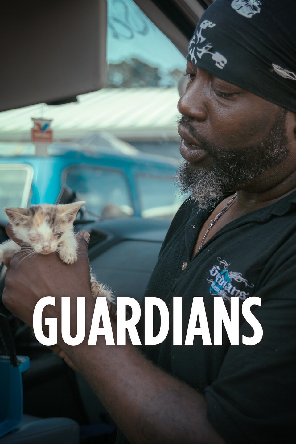 The Guardians - Rotten Tomatoes