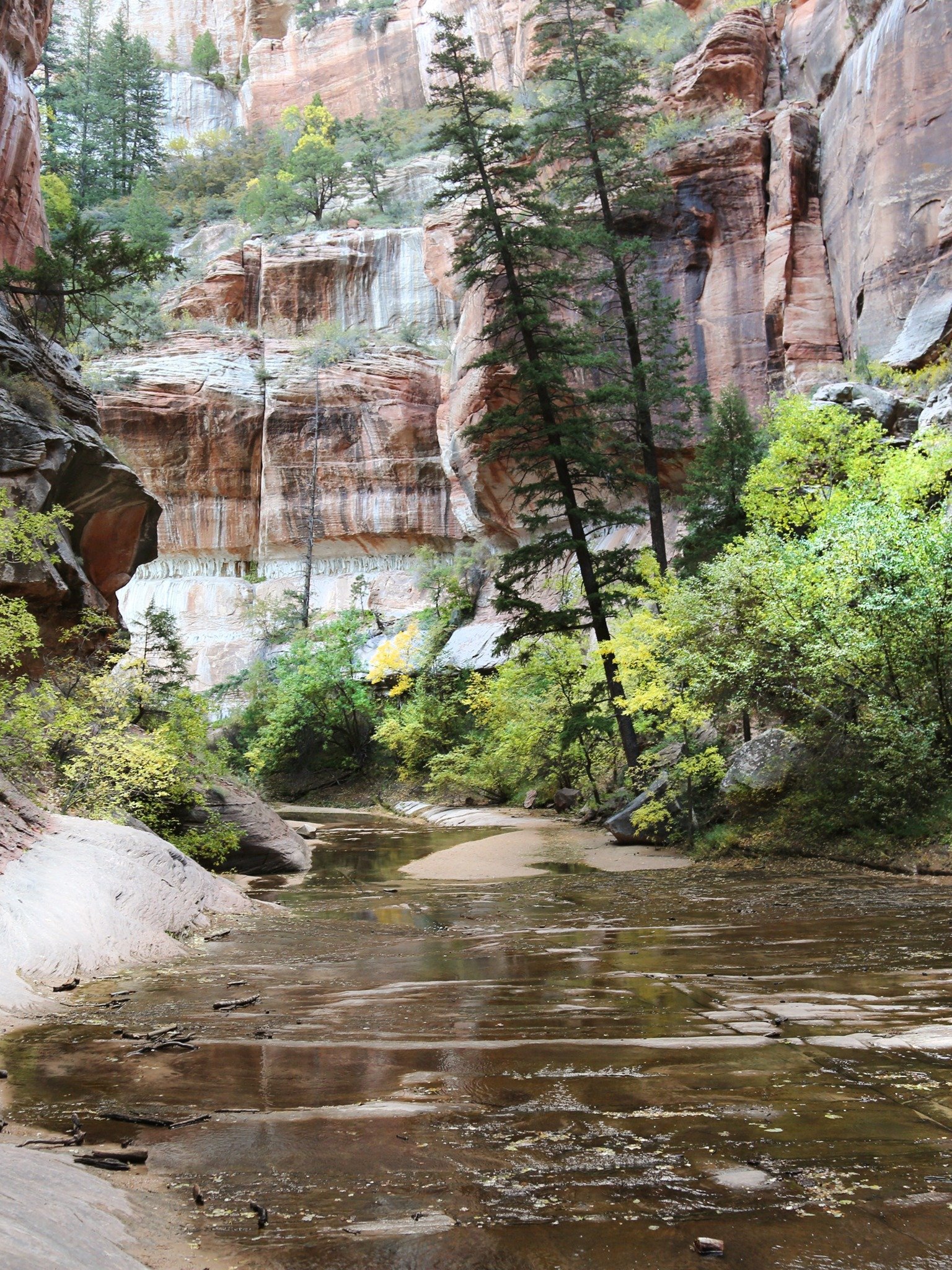 Brazil's Little Silver Grotto Pictures - Rotten Tomatoes