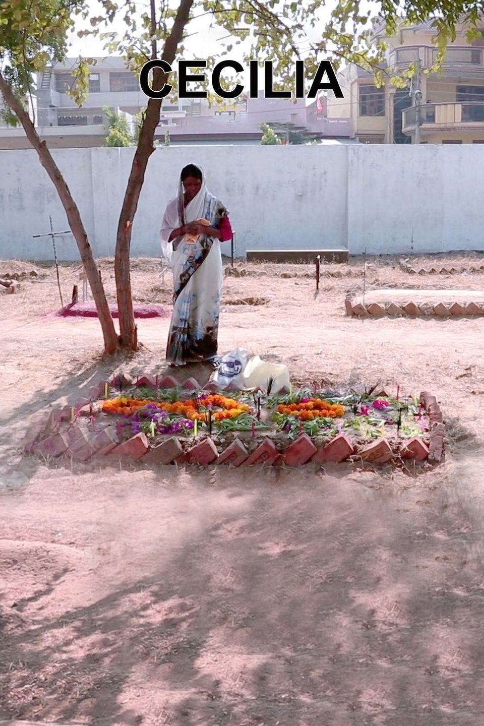 Cecilia - Rotten Tomatoes