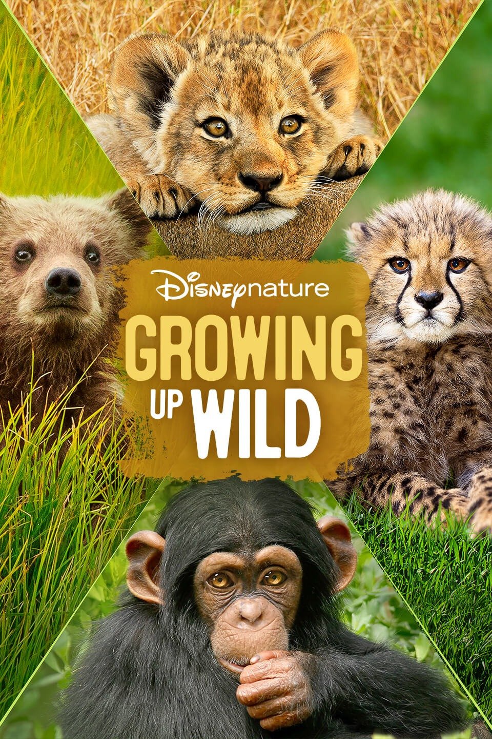 Growing Up Wild - Rotten Tomatoes