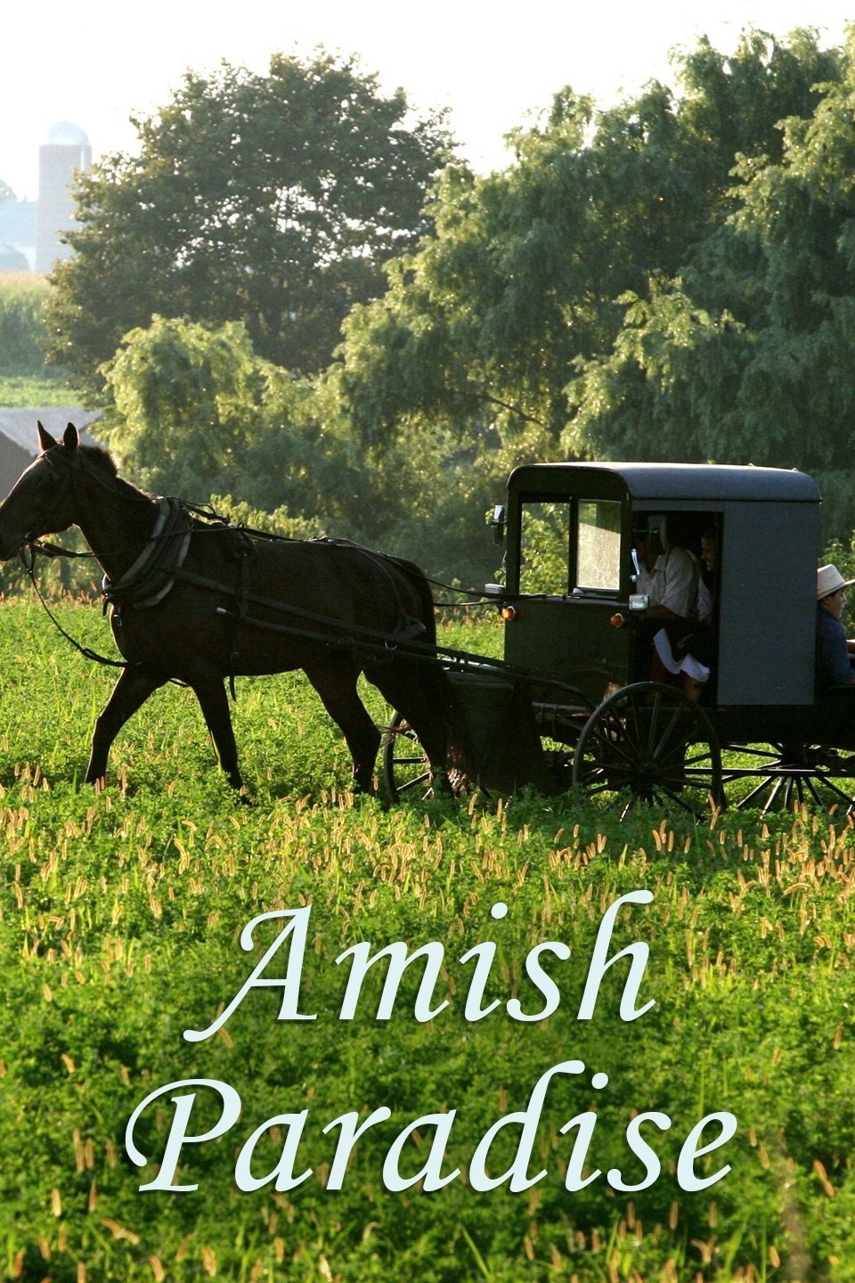 Amish Paradise - Rotten Tomatoes