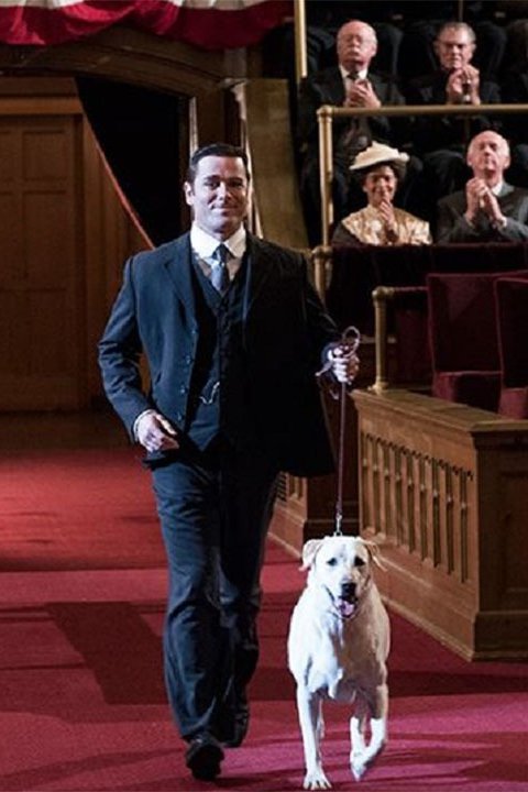 A Murdog Mystery Pictures - Rotten Tomatoes