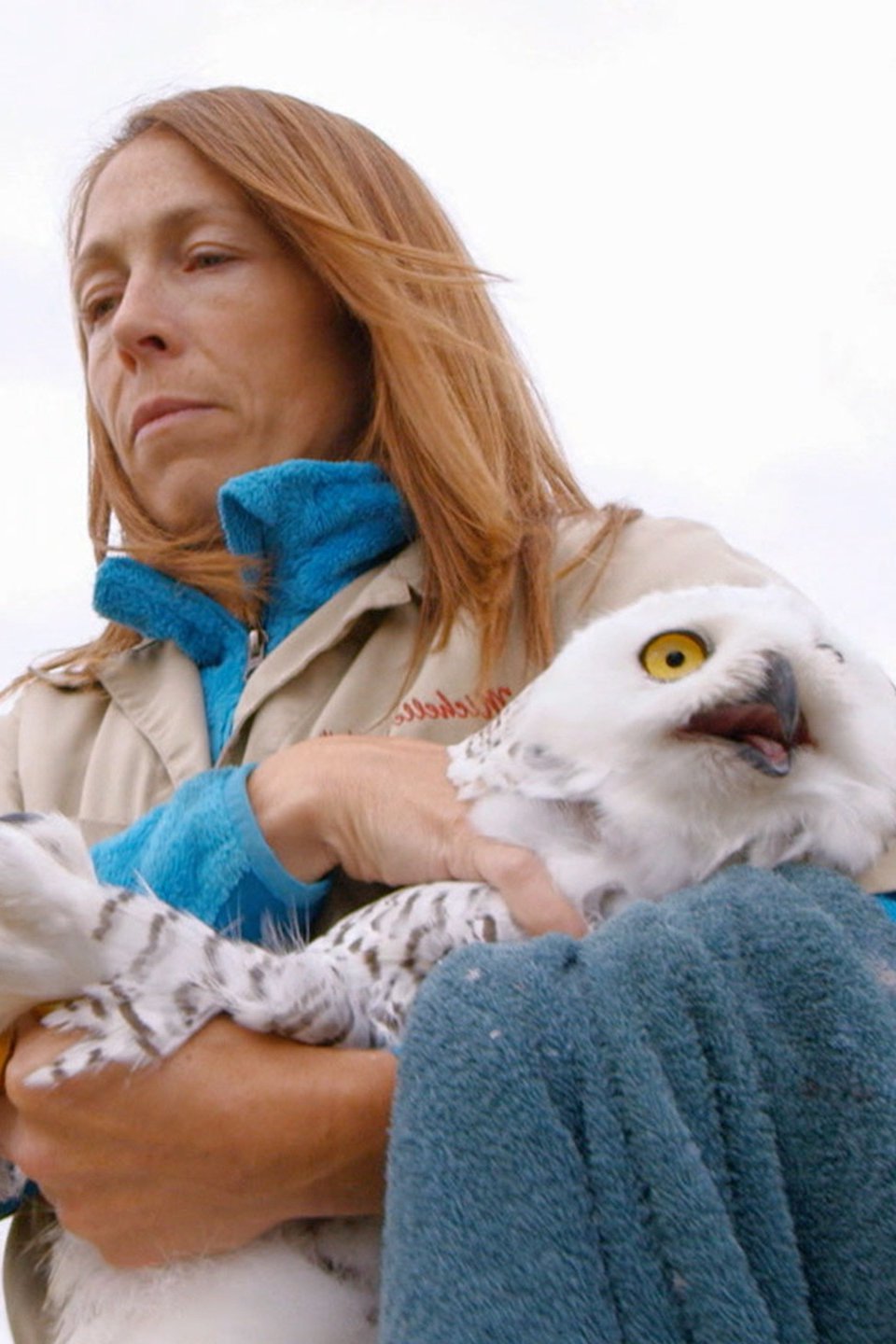 Birds of a Feather Pictures - Rotten Tomatoes