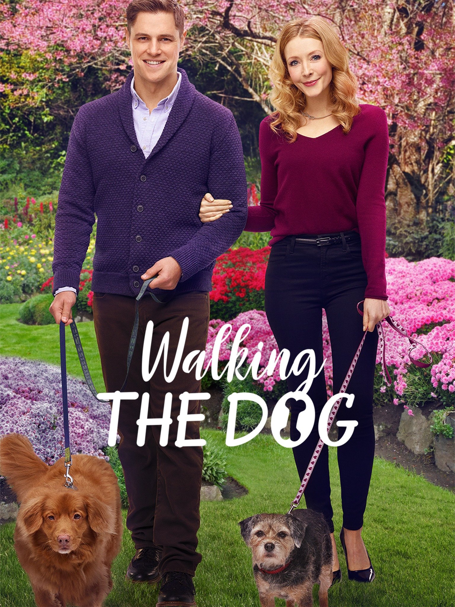Walking the Dog (2017) - Rotten Tomatoes