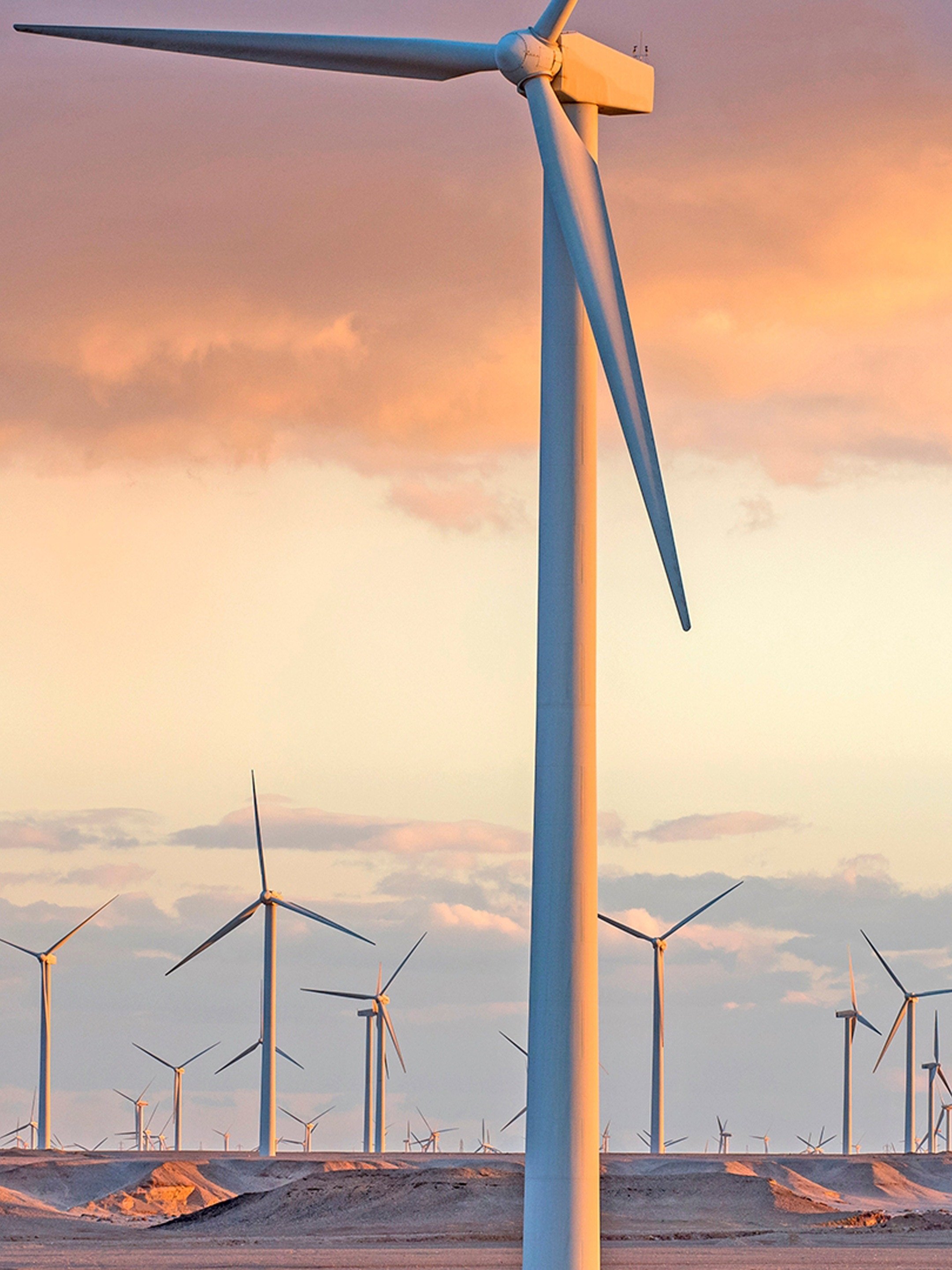 Wind Turbines, Car Tires, Mushrooms Pictures - Rotten Tomatoes