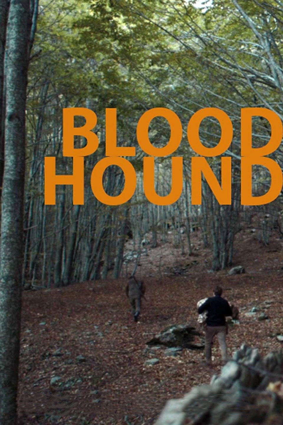 Bloodhound Pictures - Rotten Tomatoes
