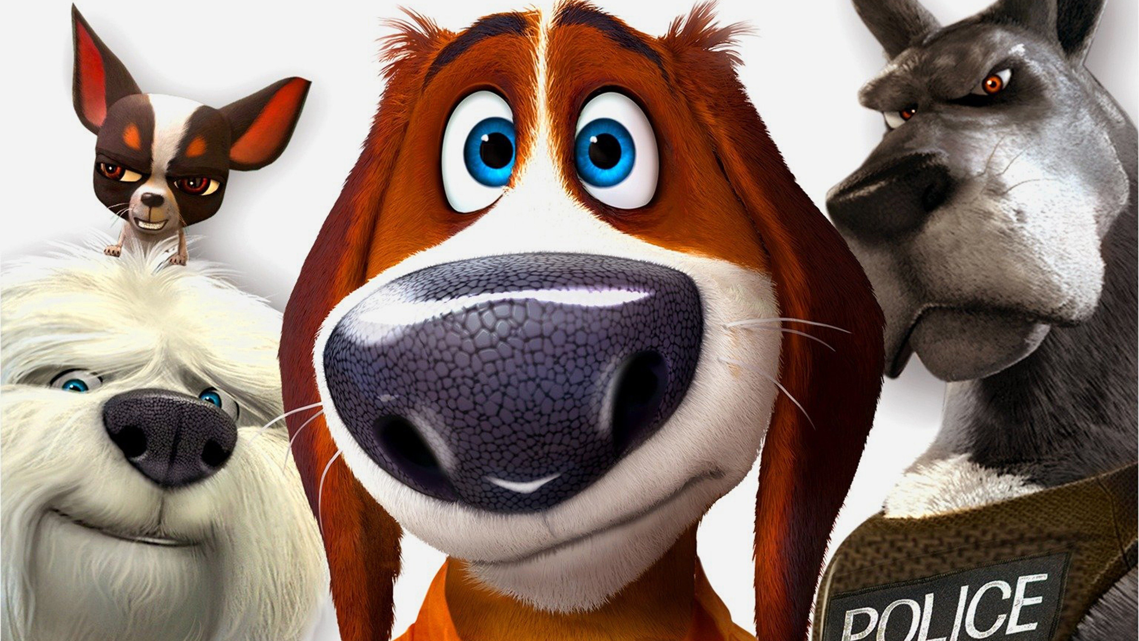 Ozzy: Trailer 1 - Trailers & Videos - Rotten Tomatoes