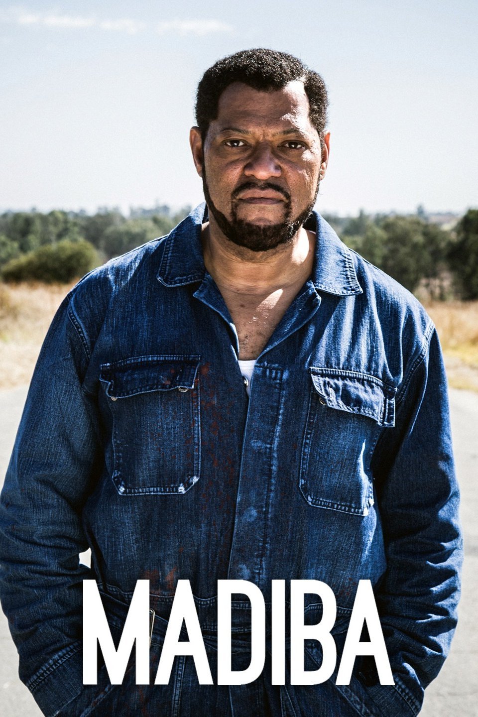 Madiba - Rotten Tomatoes