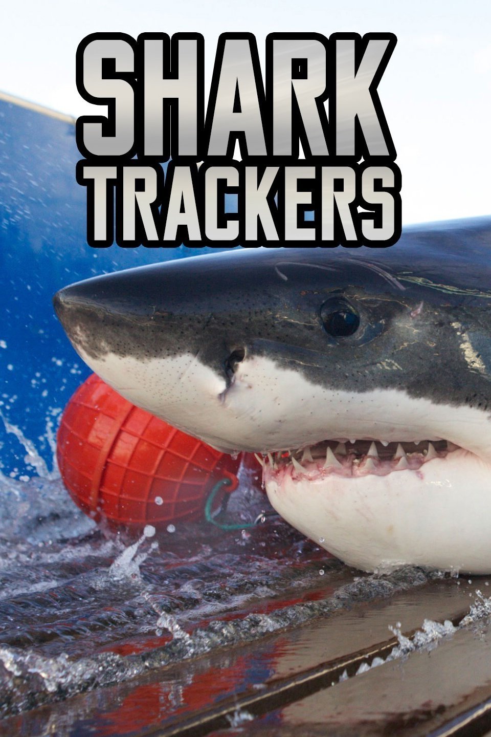 Shark Trackers - Rotten Tomatoes