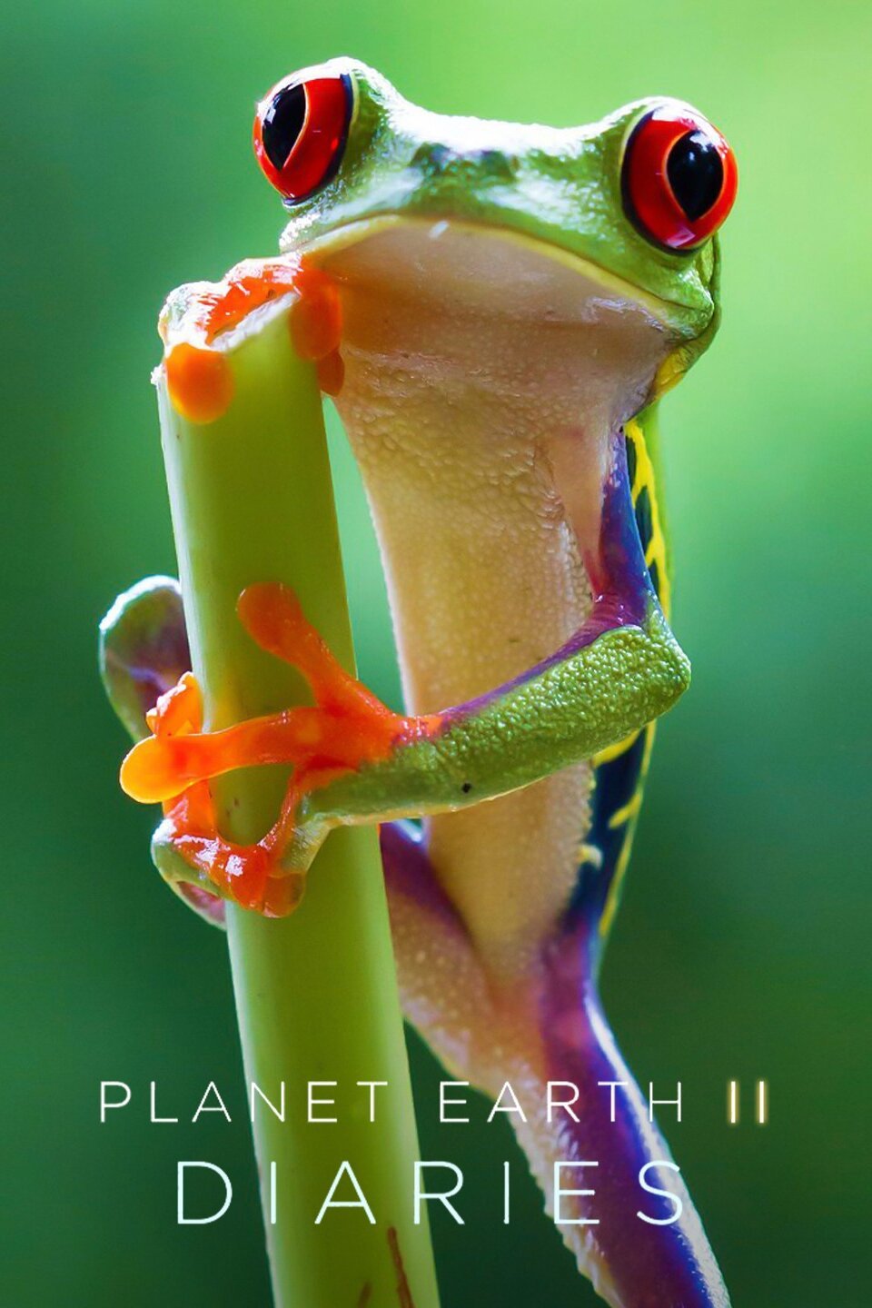 Planet Earth II Diaries - Rotten Tomatoes