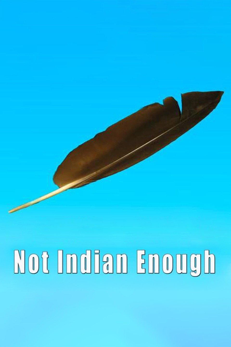 Not Indian Enough - Rotten Tomatoes