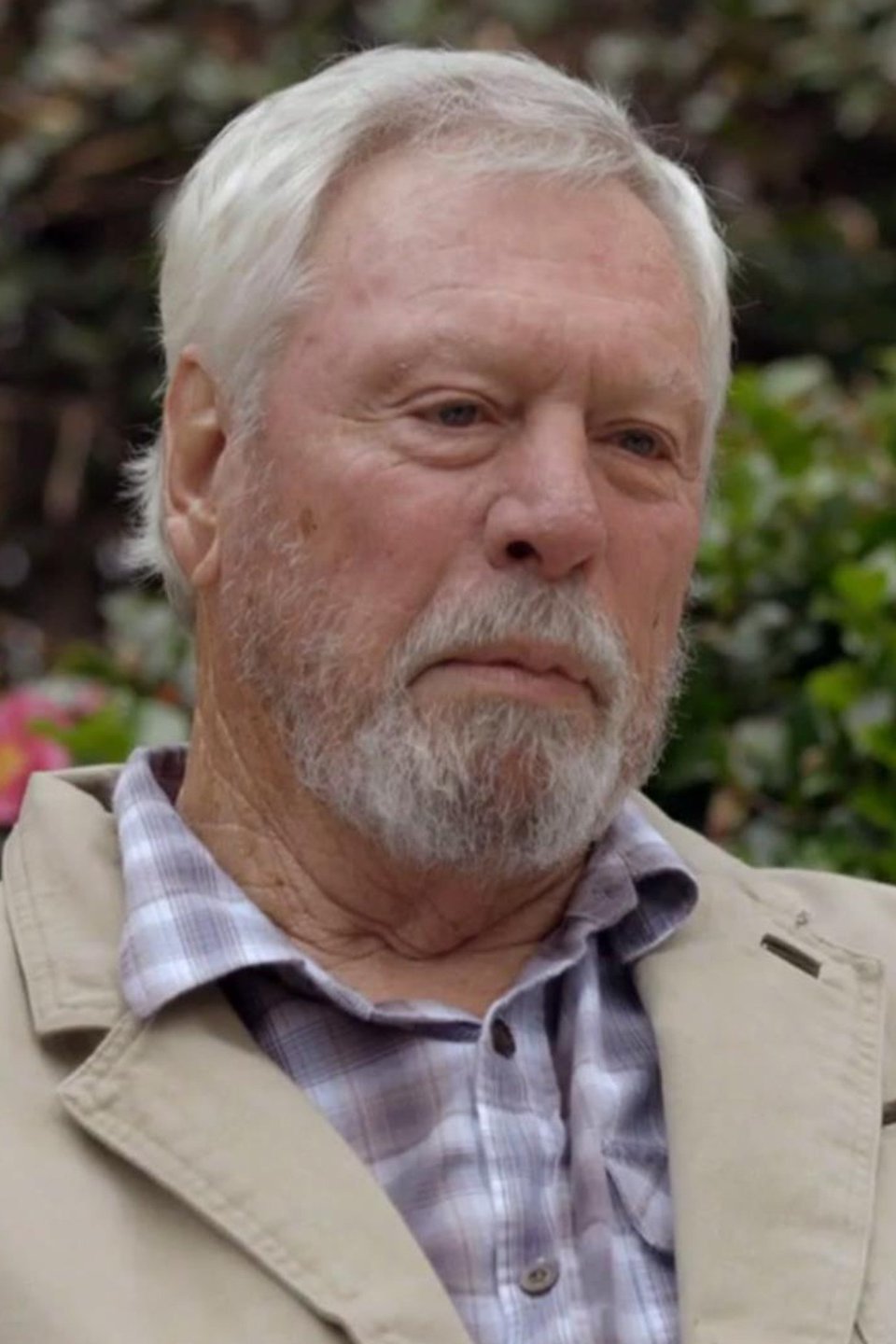 The Deep South Pictures - Rotten Tomatoes