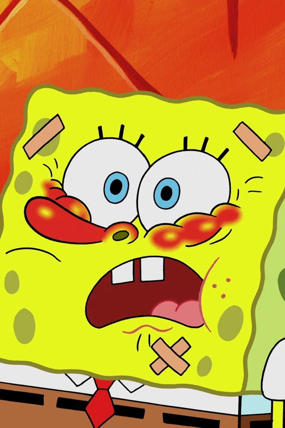 Unreal Estate; Code Yellow Pictures - Rotten Tomatoes