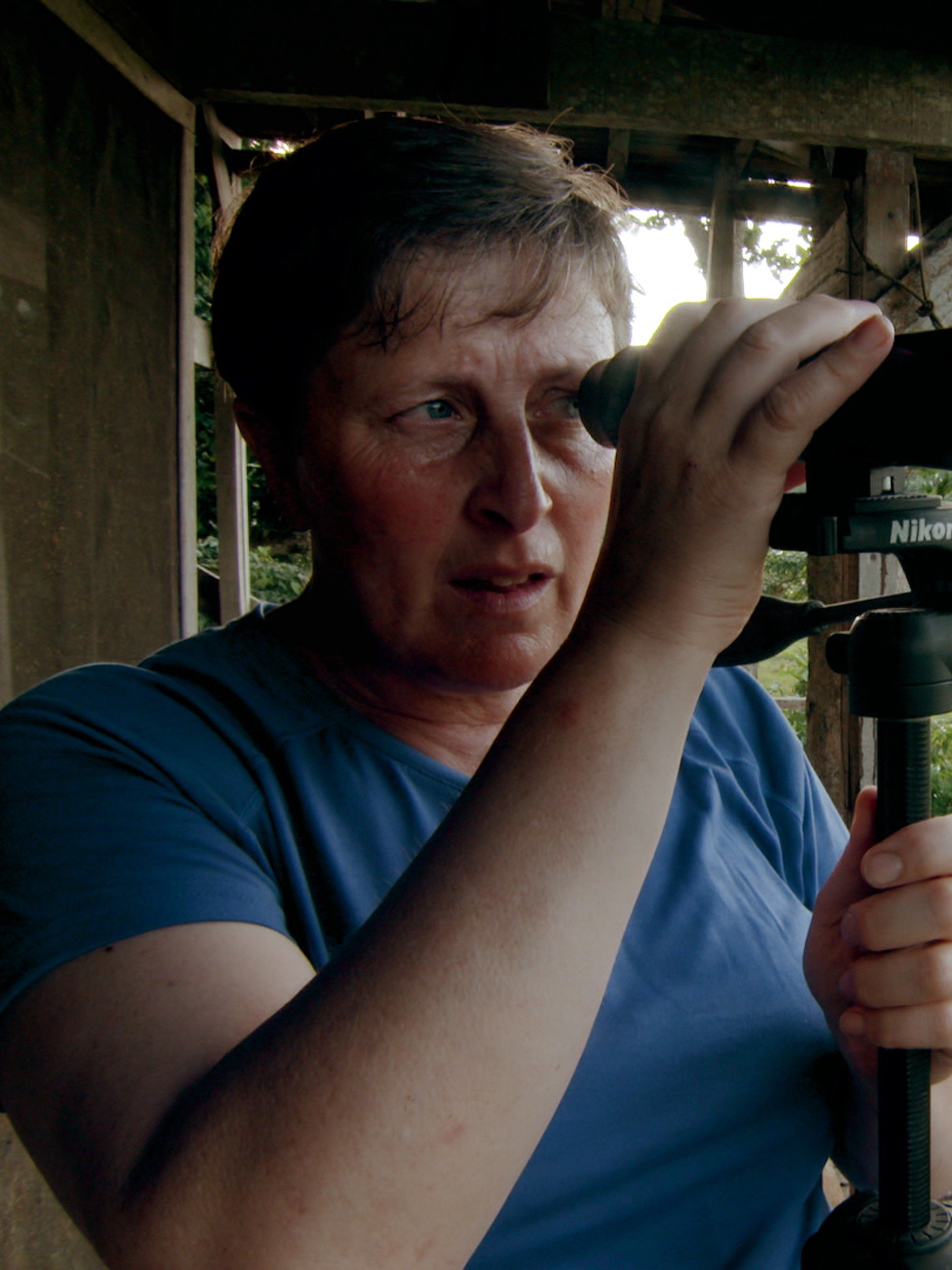 Pictures - Rotten Tomatoes