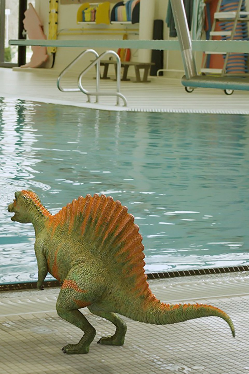 Dino Divers Pictures - Rotten Tomatoes