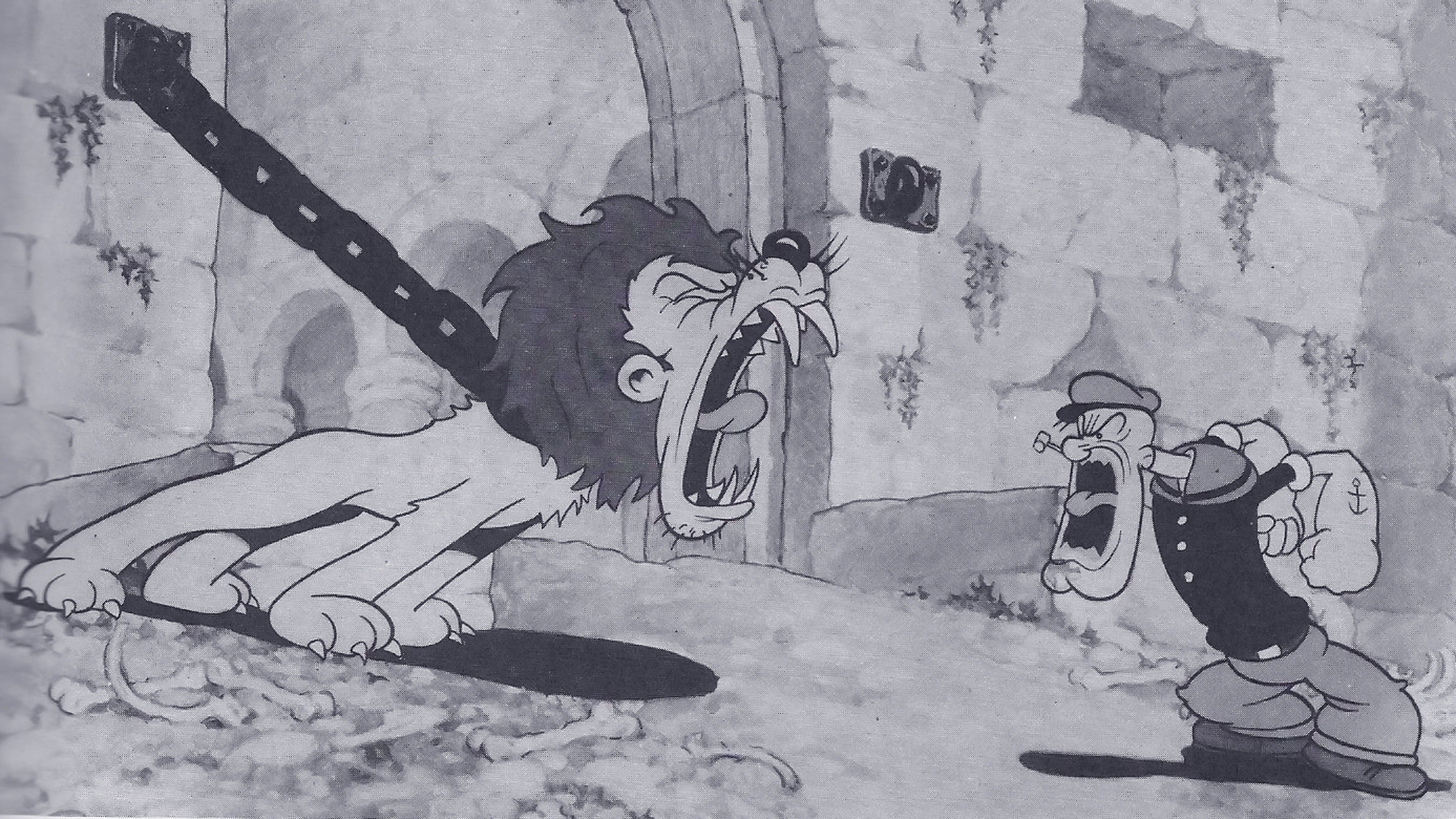 Sinbad The Sailor Cartoon