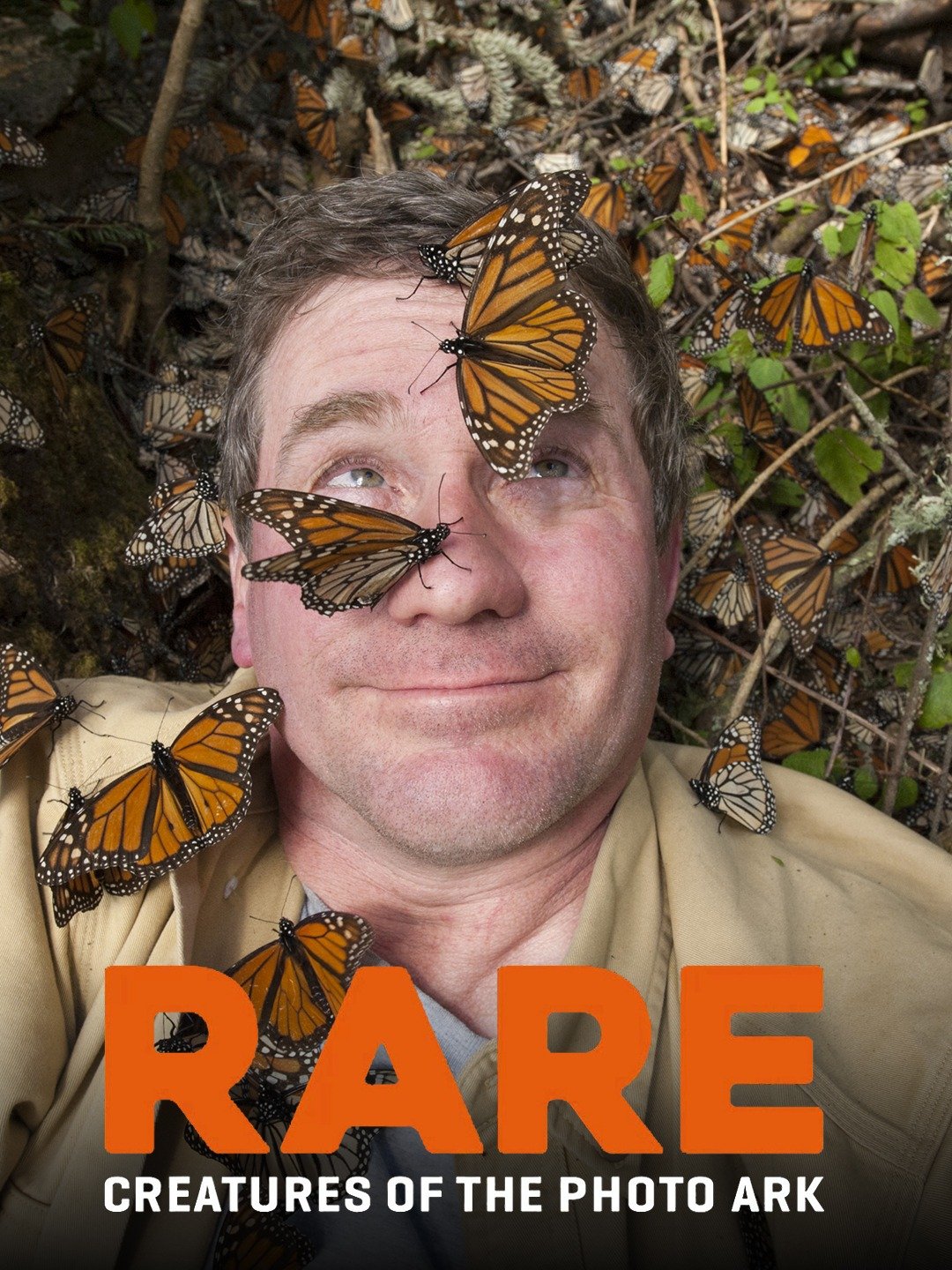 Laurie Donnelly's Instagram, Twitter & Facebook on IDCrawl