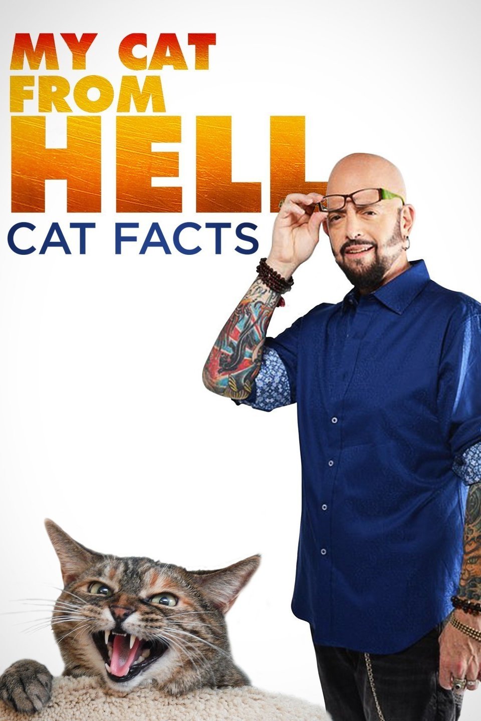My Cat From Hell: Cat Facts - Rotten Tomatoes