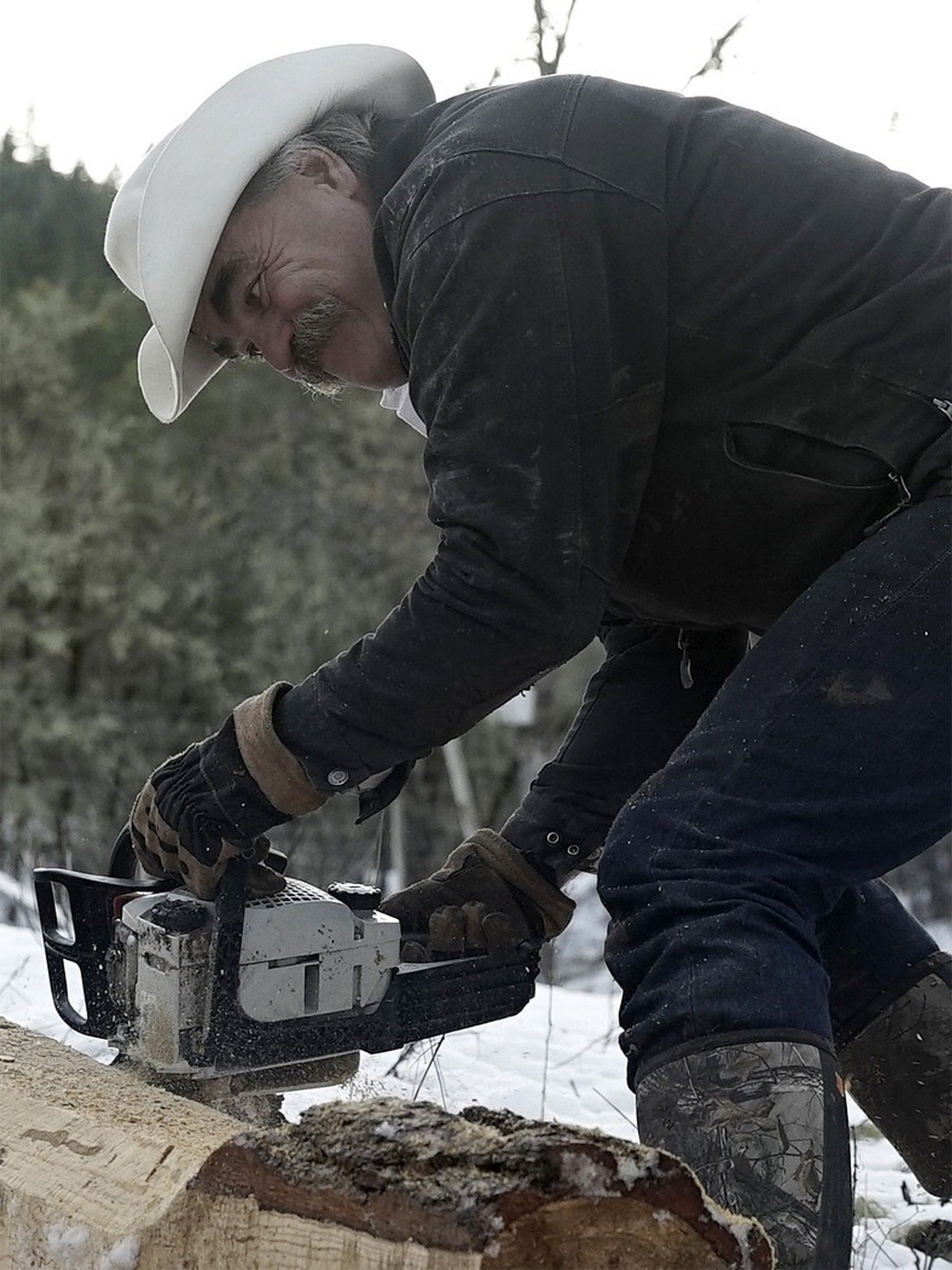 Honey I Torched the Homestead Pictures - Rotten Tomatoes