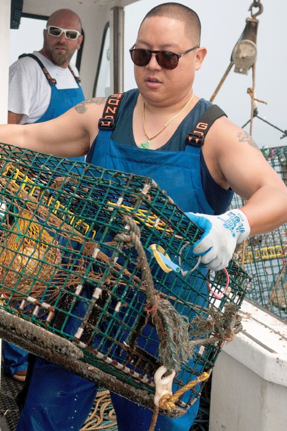 Cape Cod Pictures - Rotten Tomatoes