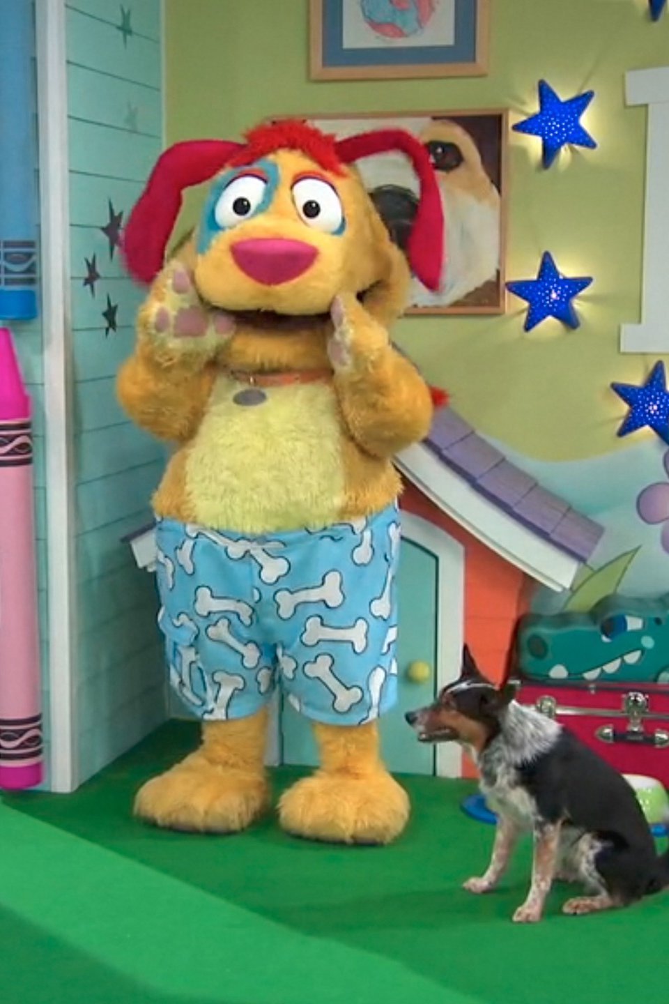 Hop Dog Pictures - Rotten Tomatoes