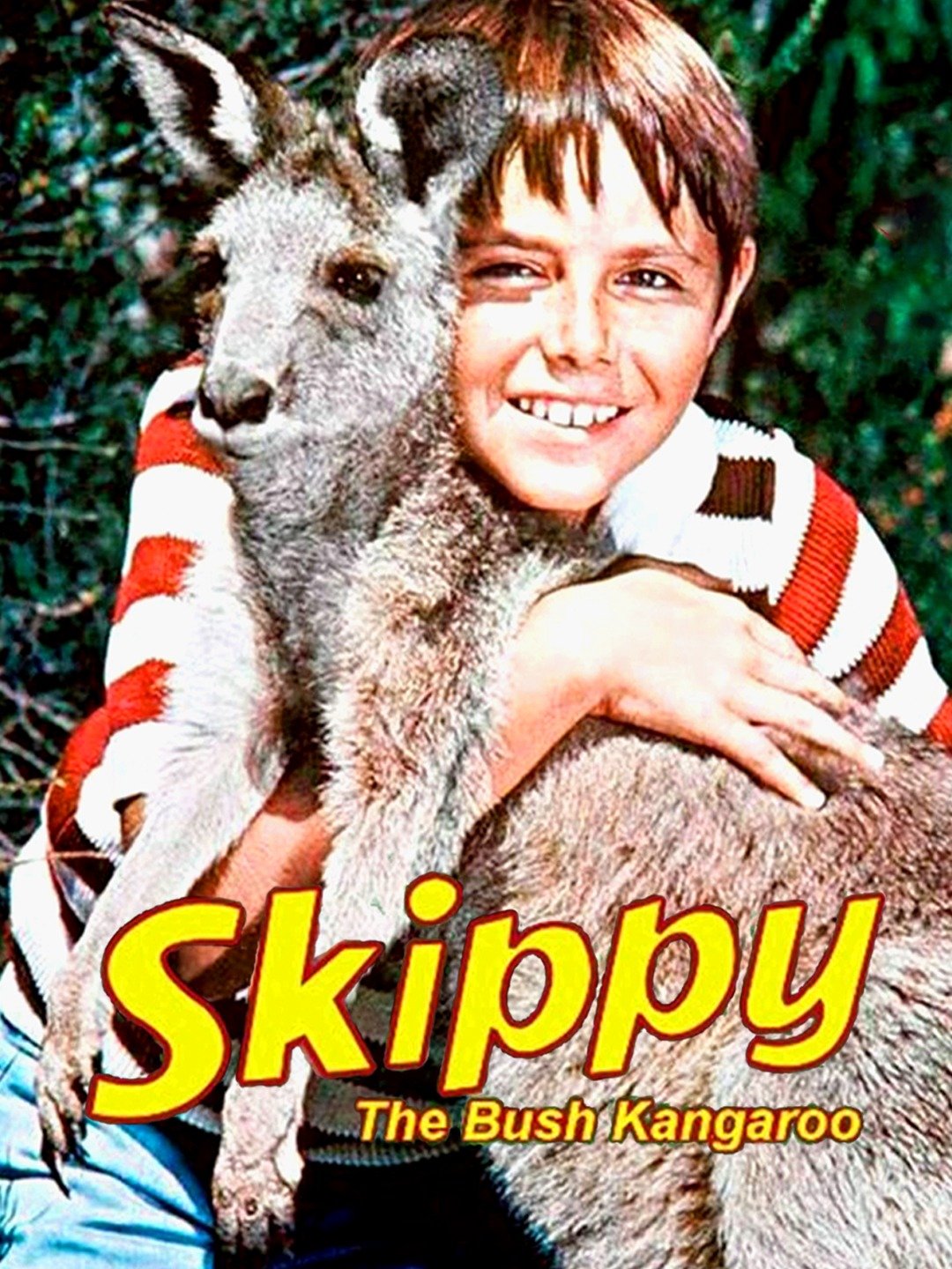 Liza Goddard Skippy