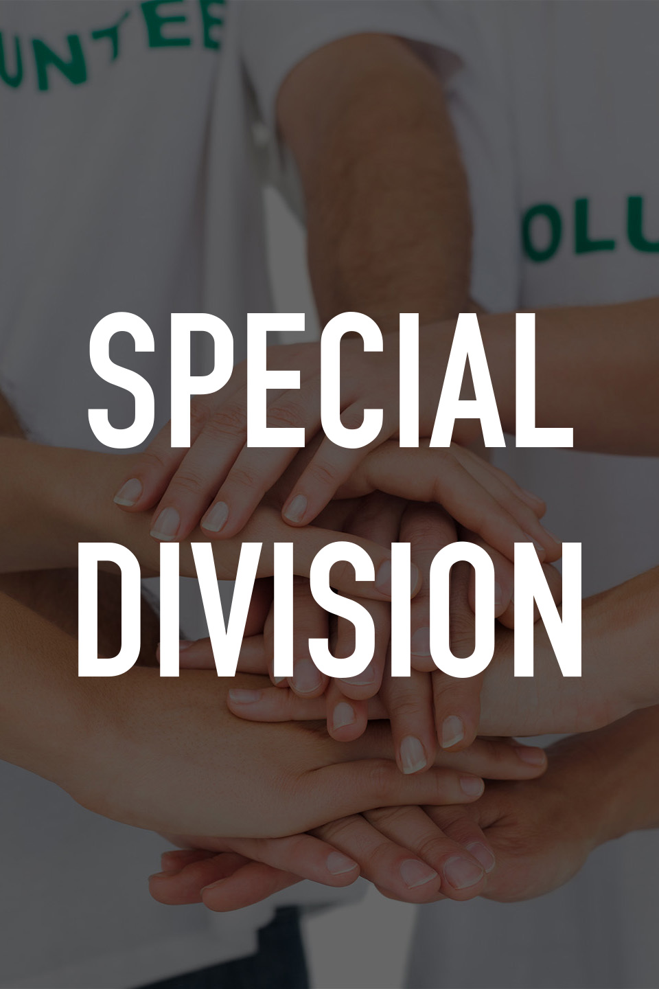 Special Division - Rotten Tomatoes