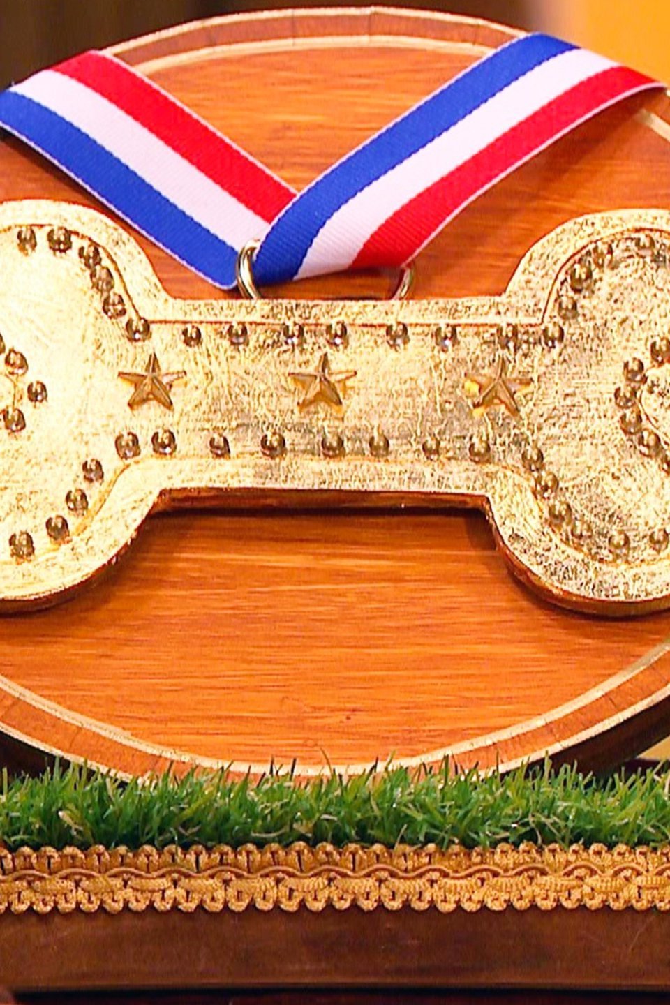 The Woof Woof Games Pictures - Rotten Tomatoes