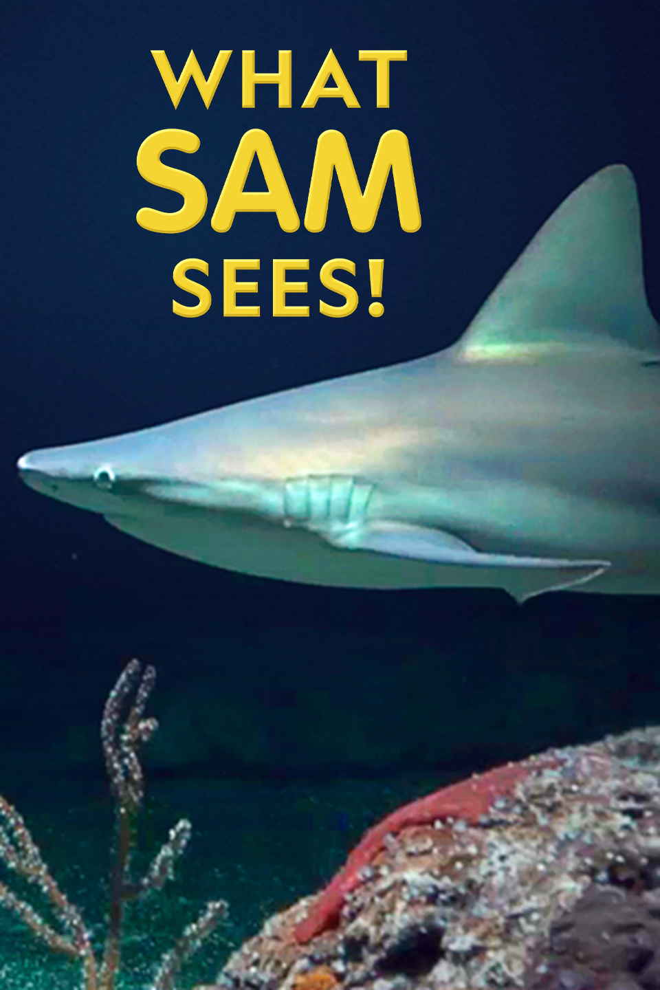 What Sam Sees - Rotten Tomatoes