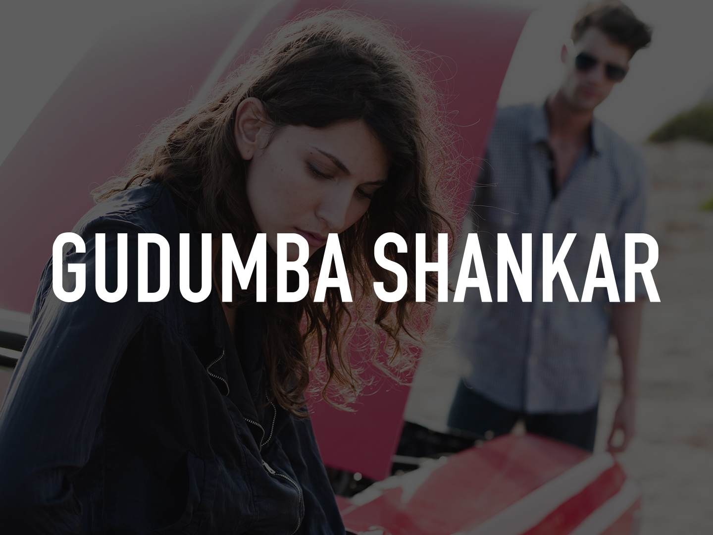 Gudumba Shankar Cast