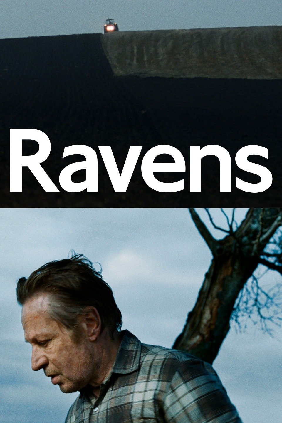 Ravens - Rotten Tomatoes
