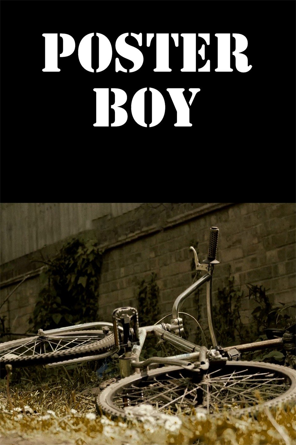 Poster Boy - Rotten Tomatoes