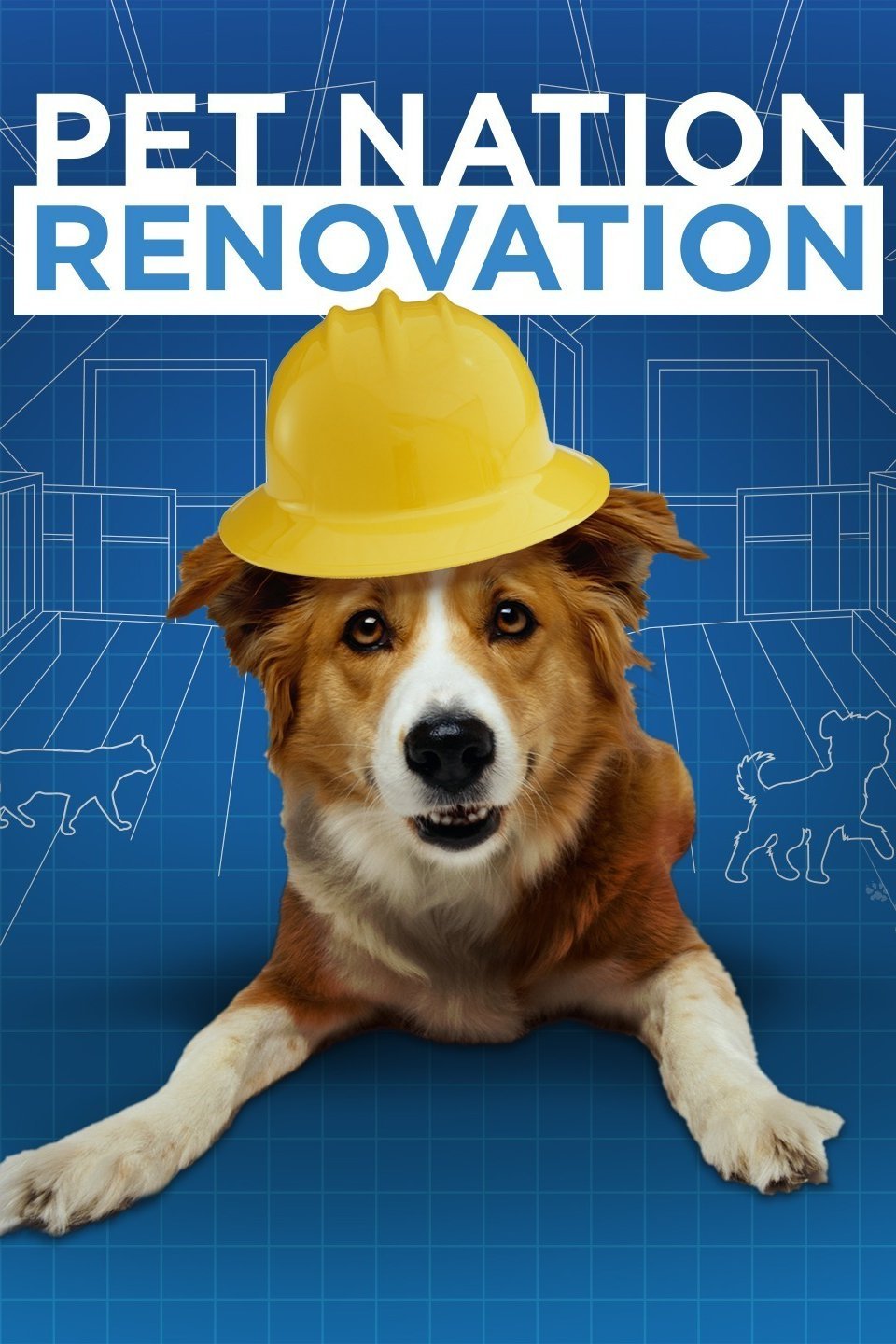 Pet Nation Renovation - Rotten Tomatoes