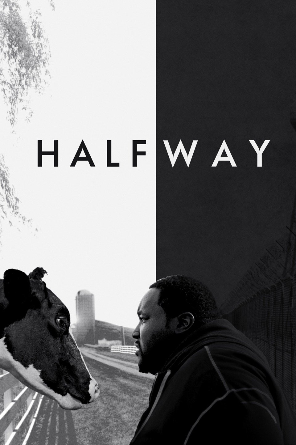 Halfway - Movie Reviews