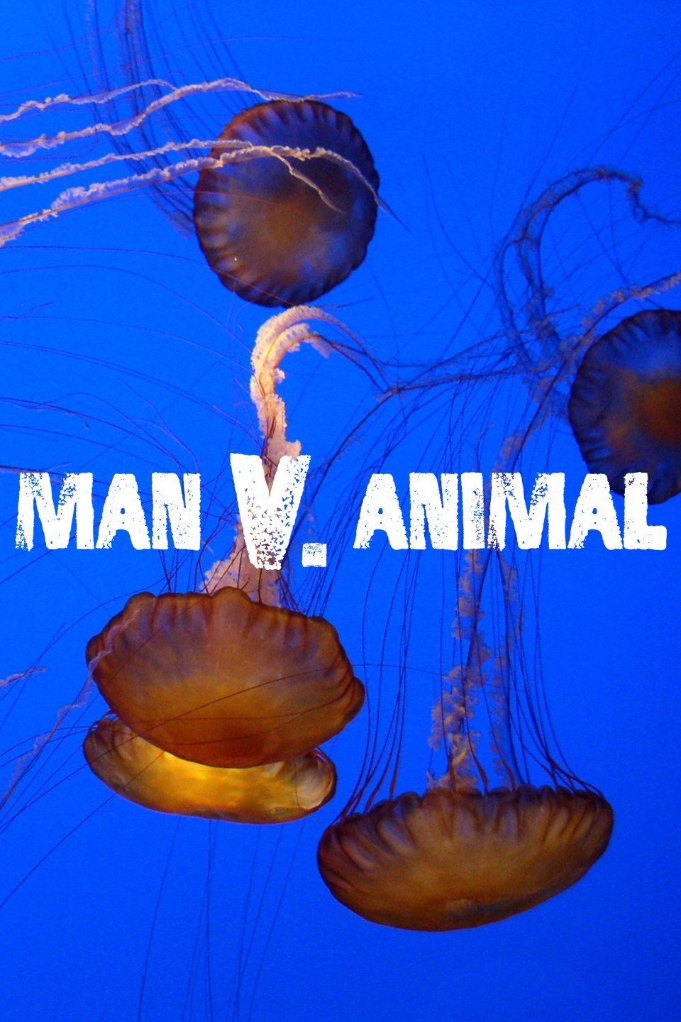Man v. Animal - Rotten Tomatoes