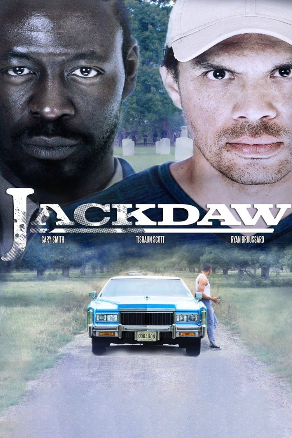 Jackdaw - Rotten Tomatoes