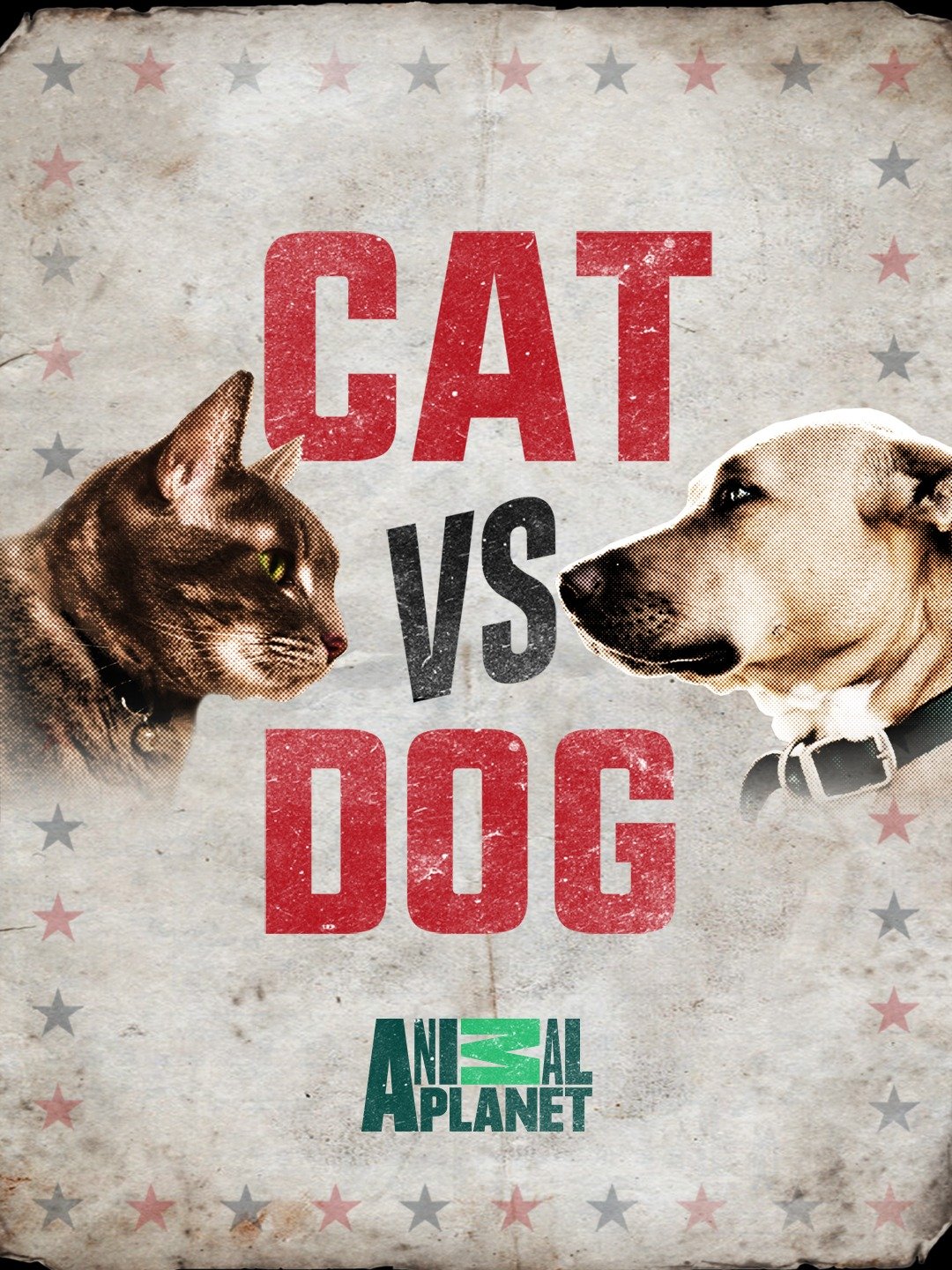 Cats And Dogs Movie Poster