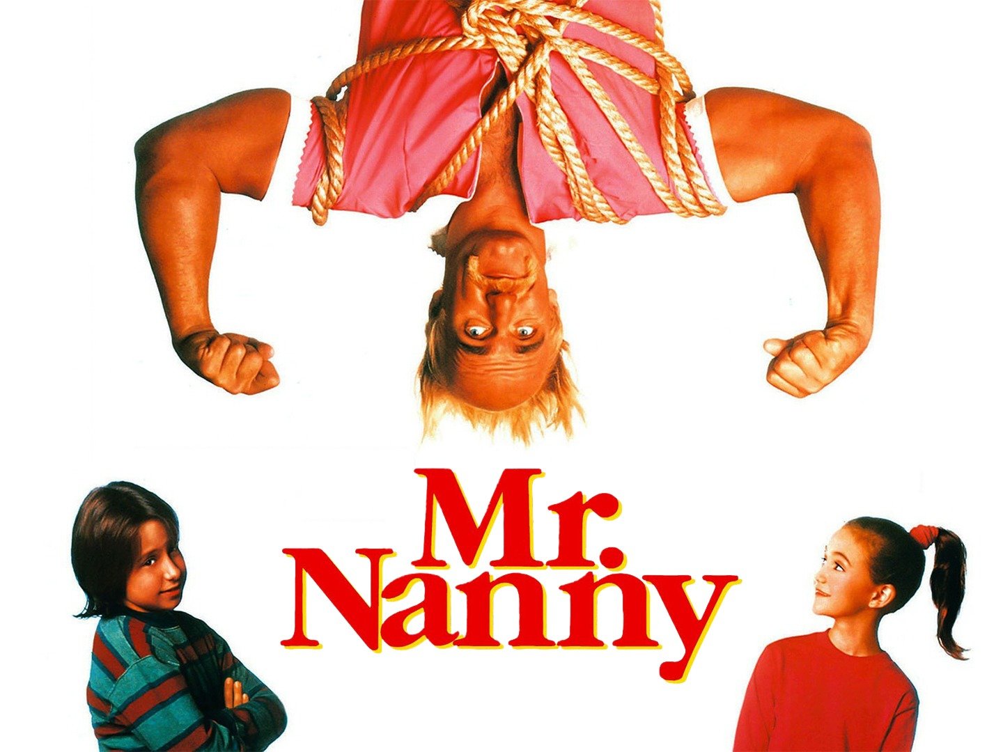 Mr Nanny Poster
