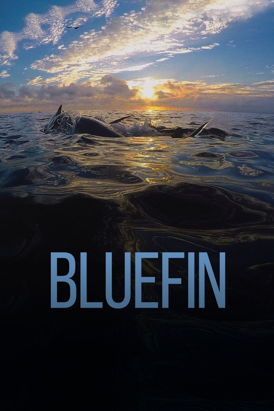 Bluefin - Rotten Tomatoes
