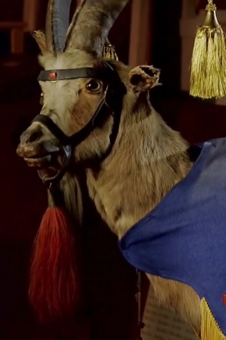 Sergeant Bill Goat Hero, Gilded Grudge and Osage Investigation Pictures ...